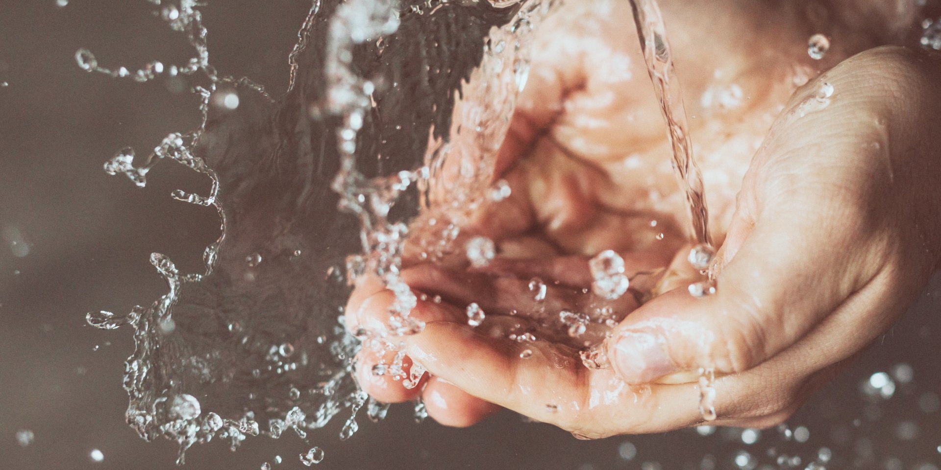 An exploration of Saucha